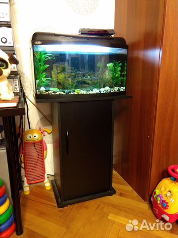 Аквариум Aquael Pearl 60 Эко с тумбой