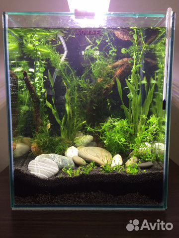 Нано аквариум Акваэль (Aquael Shrimp Smart 20)