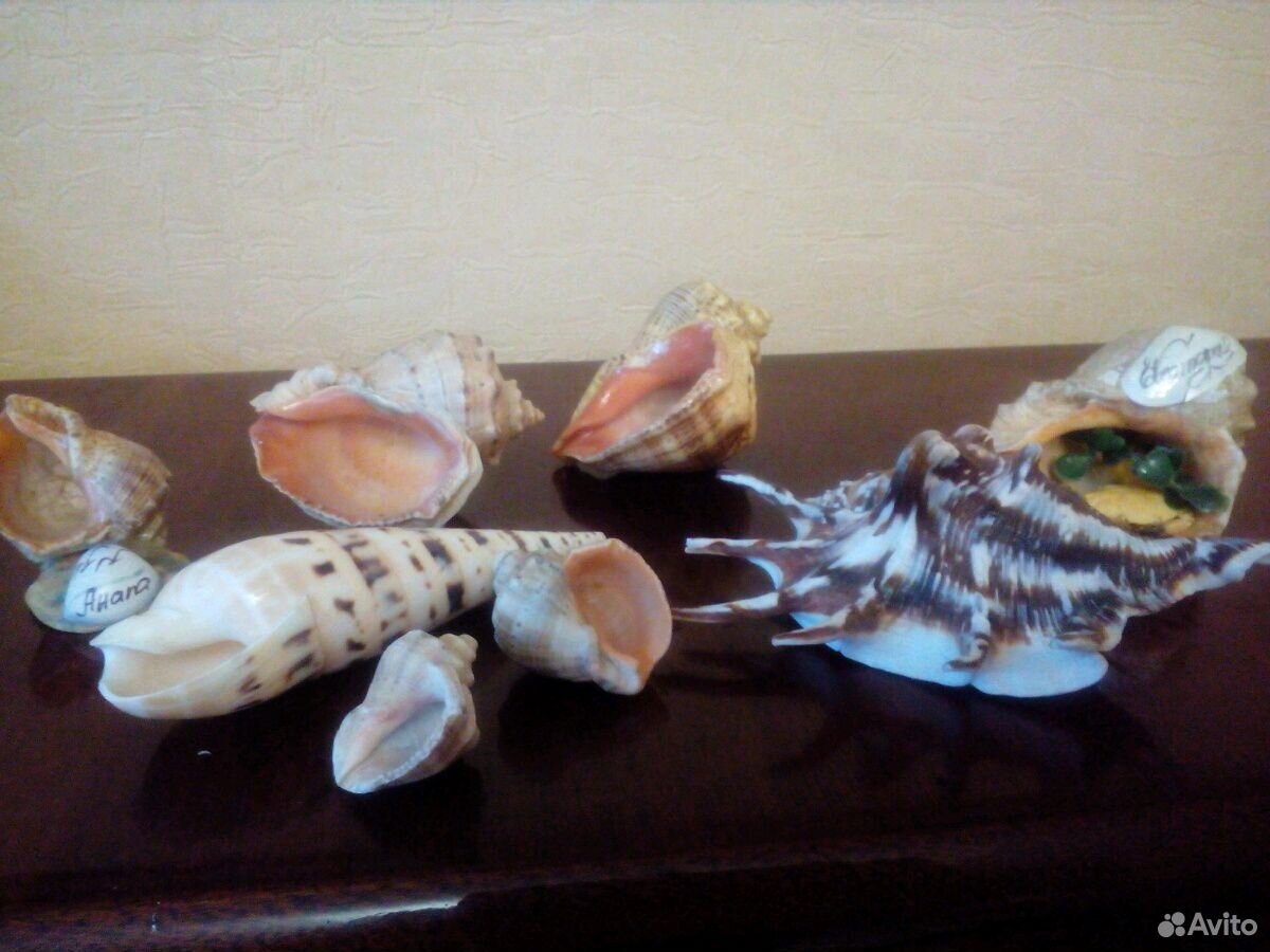 Фигурки для аквариума и сачки