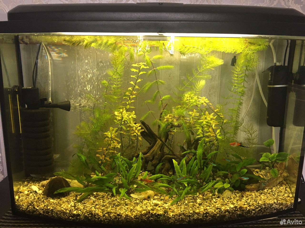 Аквариум
