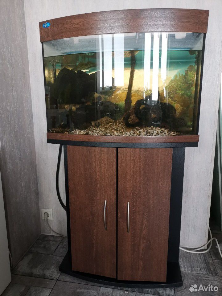 Аквариум с рыбками