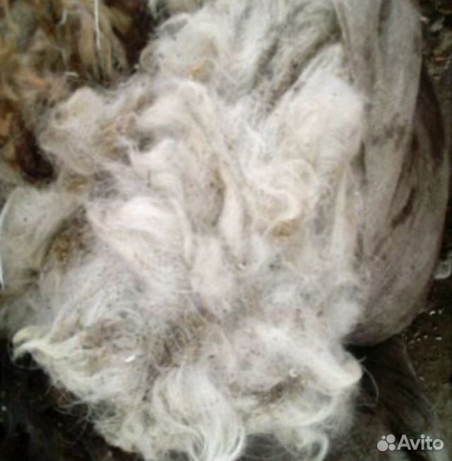Шерсть овечья