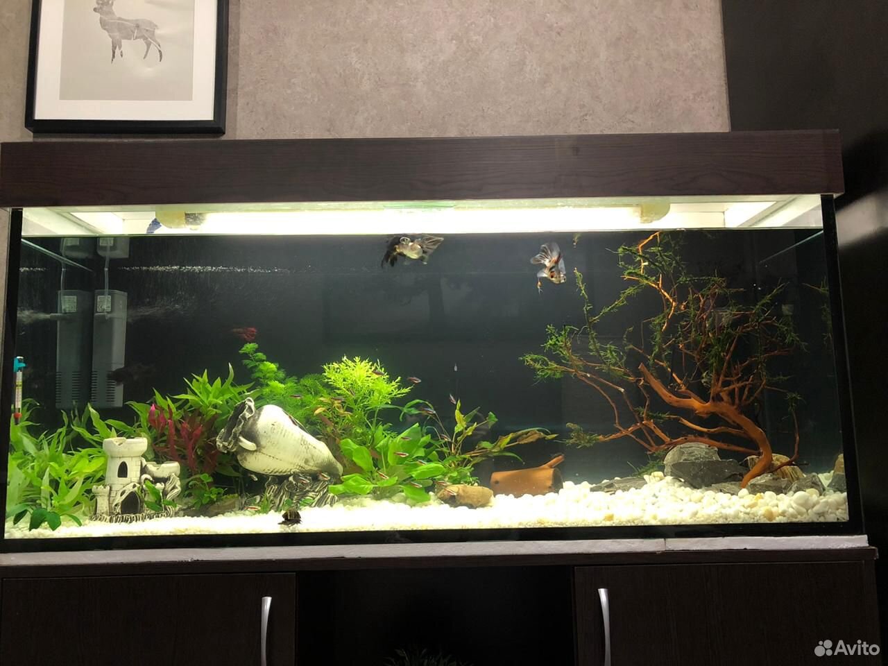 Аквариум 340л