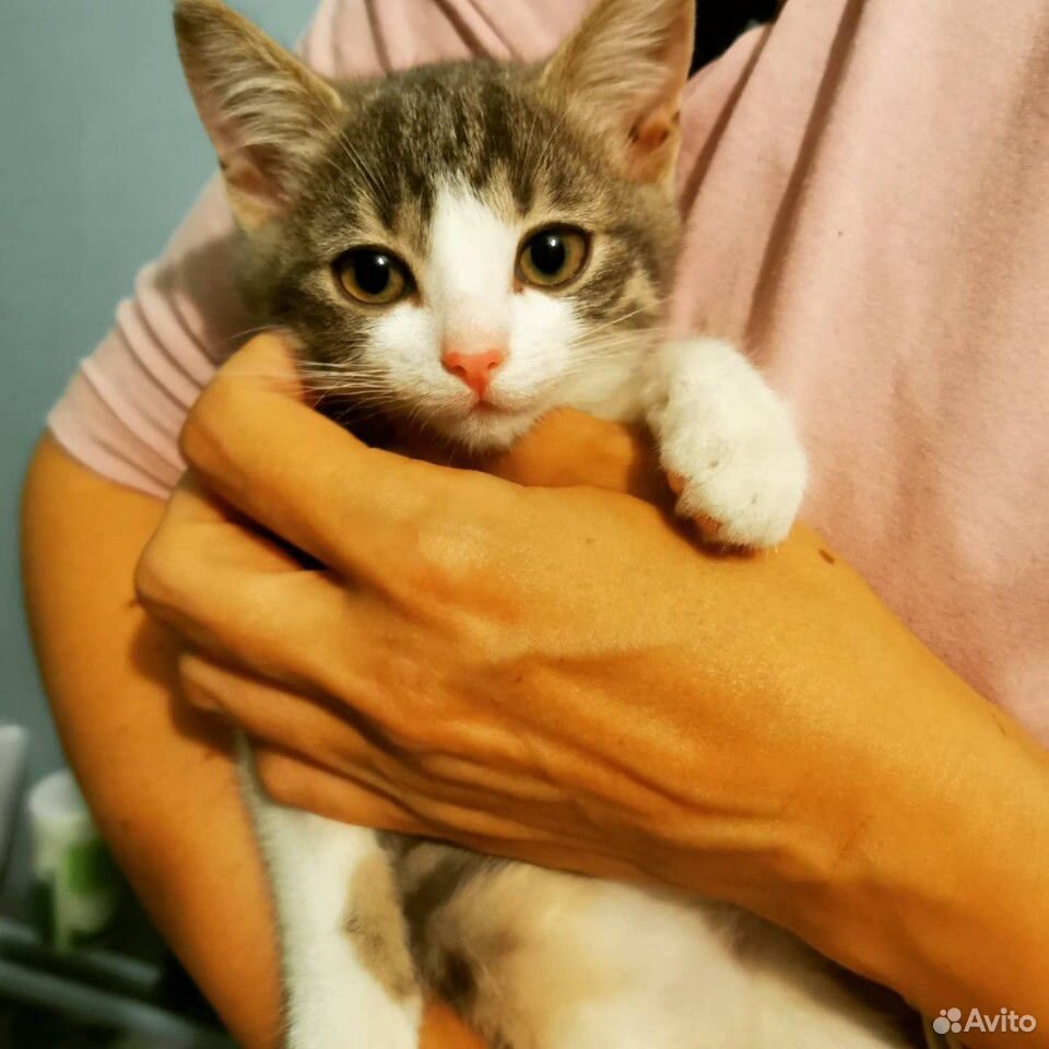 Маленькая Фиона