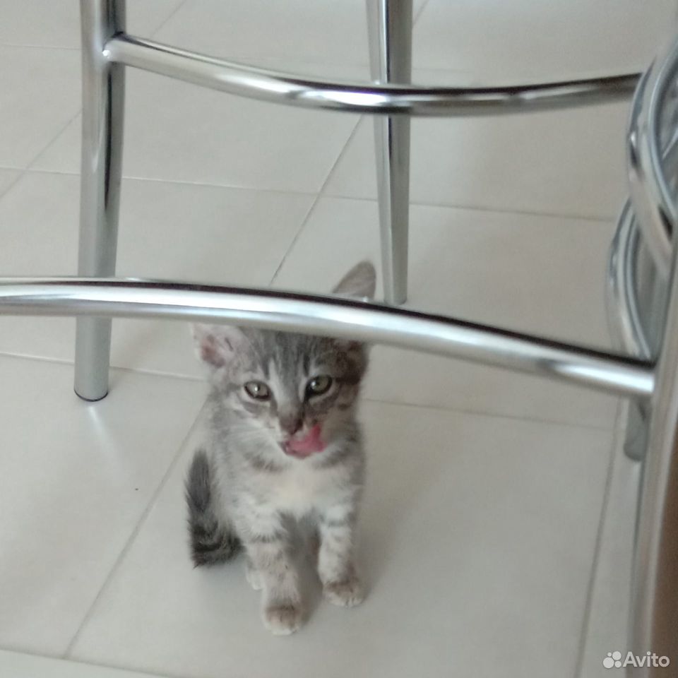 Девочка-красавица ищет дом