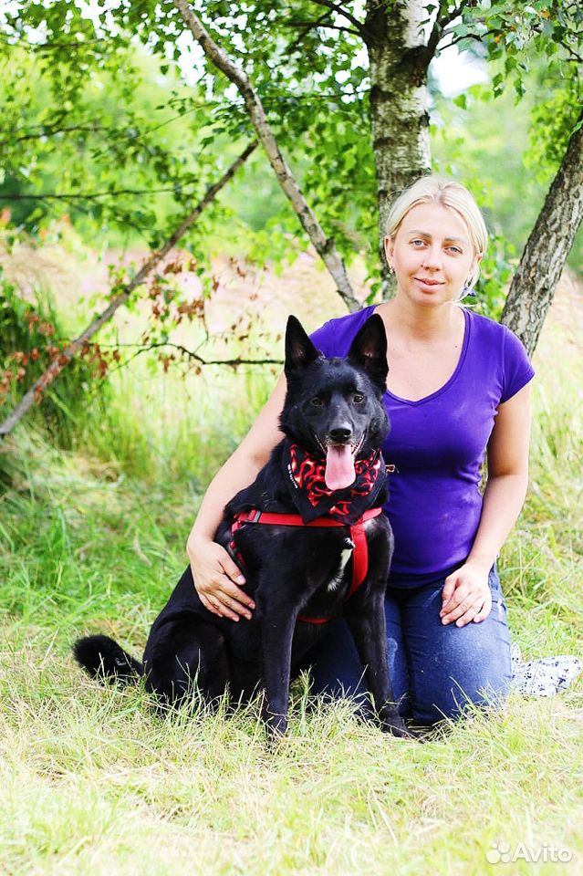 Отдам собаку из приюта