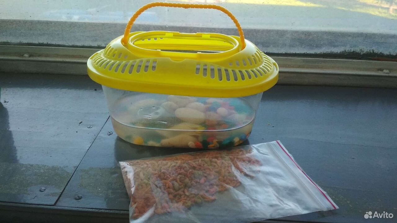 Красноухих черепашки