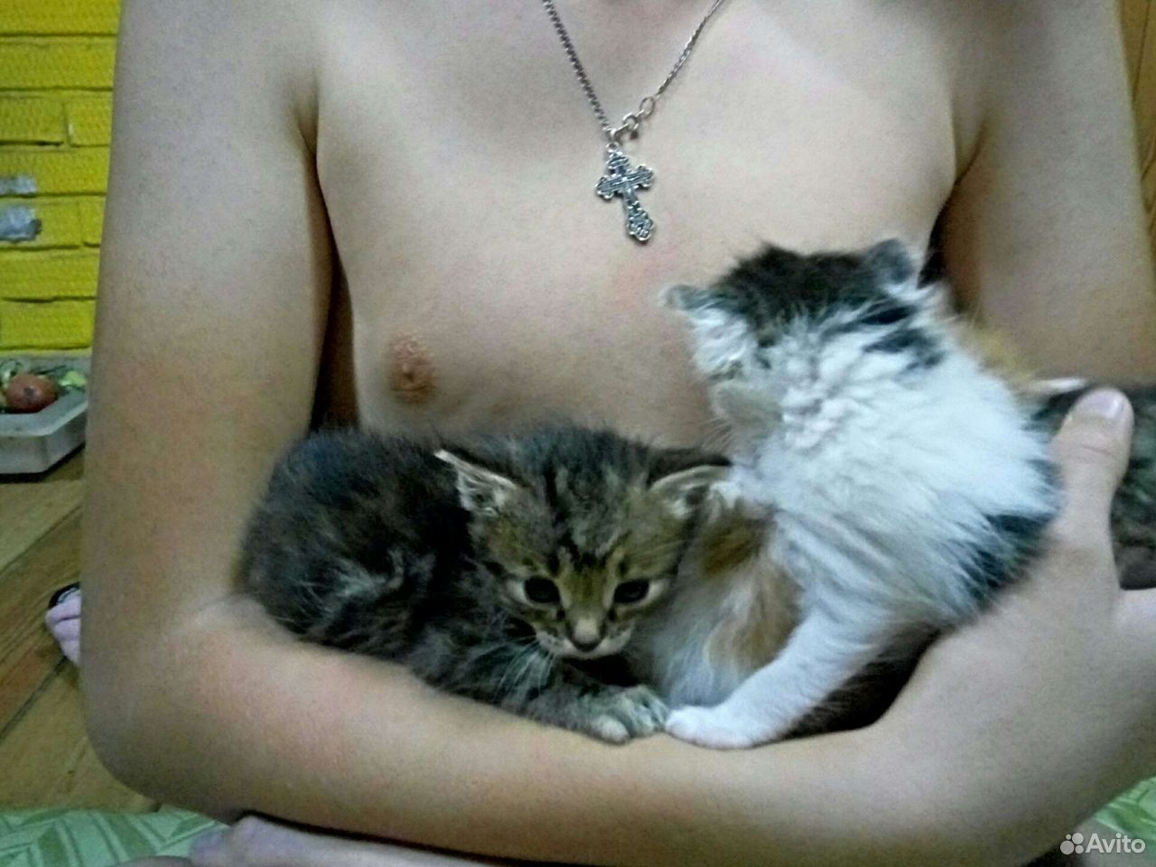 Сибирская
