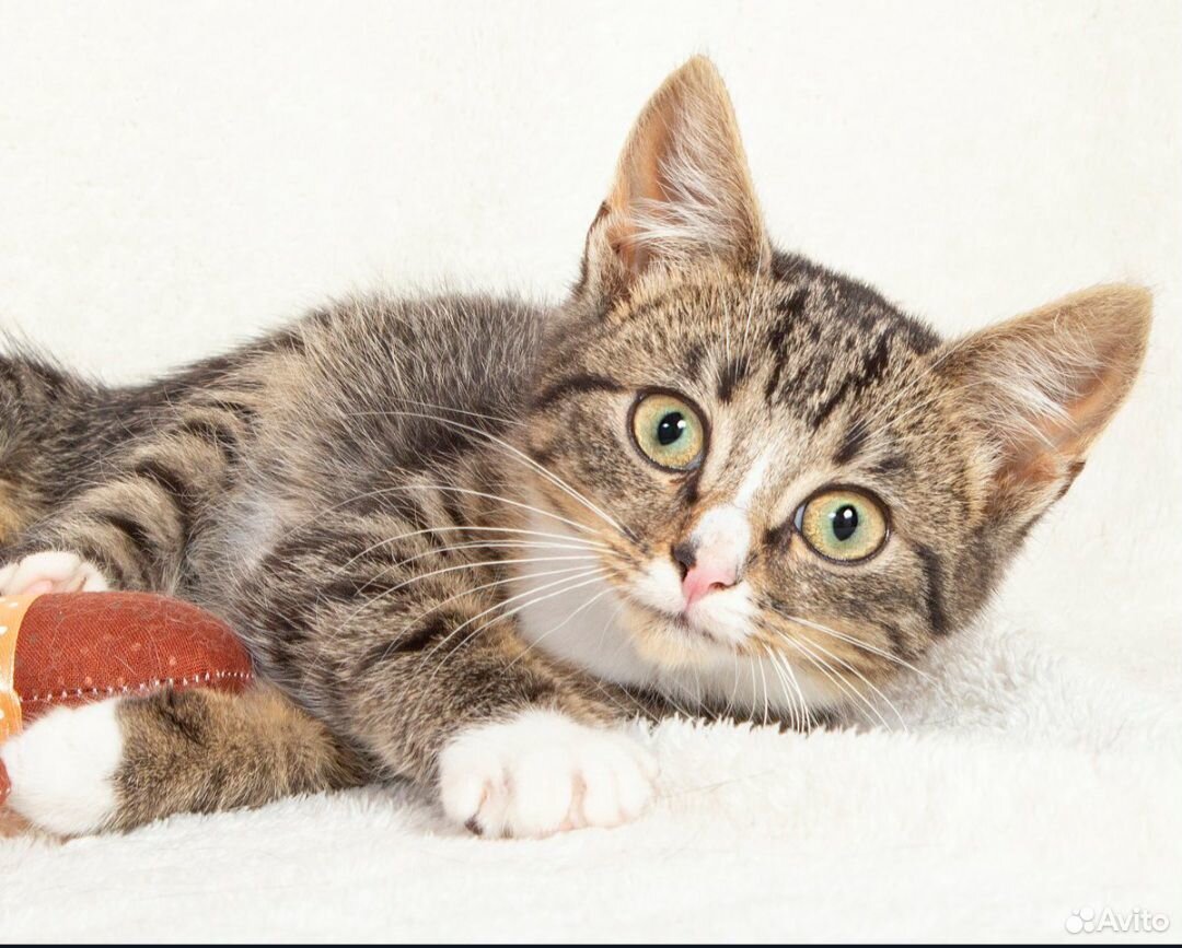 Счастье на ладошке