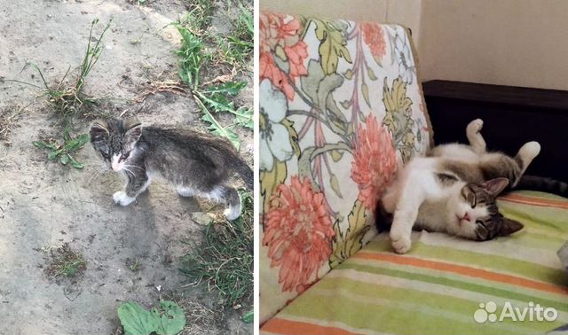 Соня стала красоткой