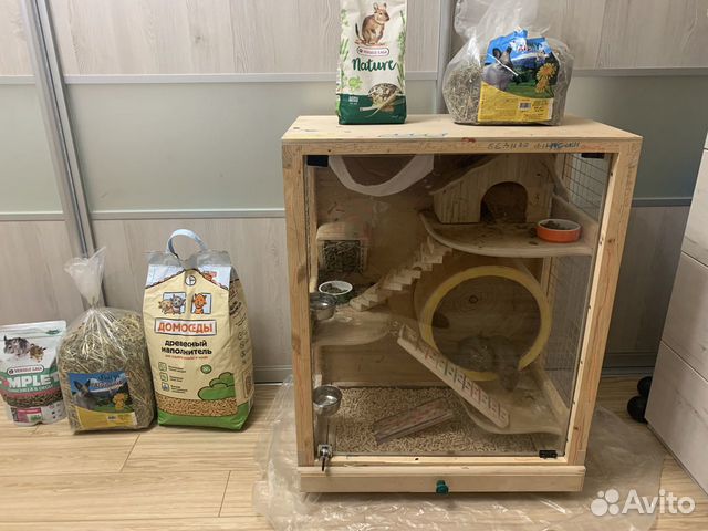 Дегу 2 девочки и витрина бесплатно