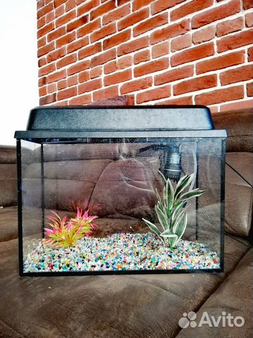 Аквариум