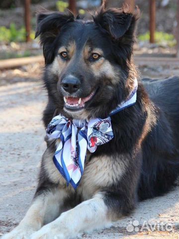 Люсенька в самые ответственные руки