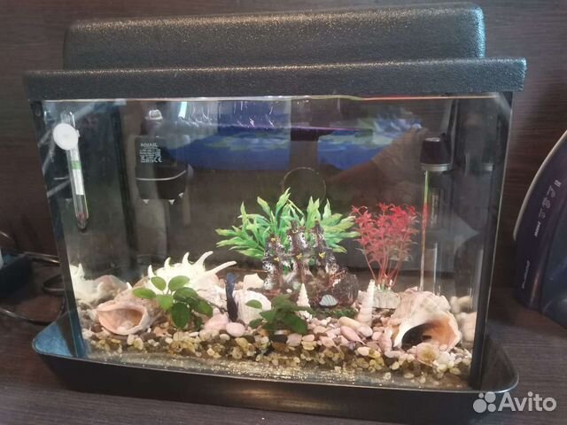 Аквариум 20 на 40