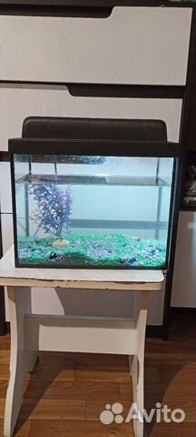 Аквариум