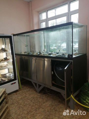 Аквариум для продажи живой рыбы