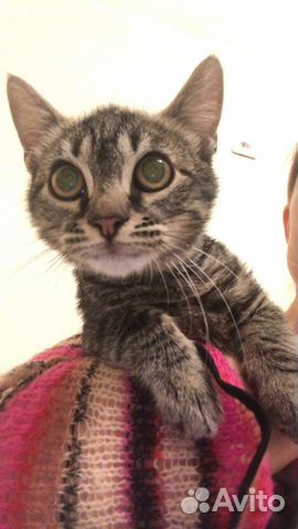 Красивый парень