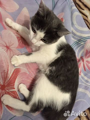 Европейская