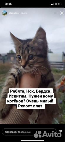 Частично мэйн-кун