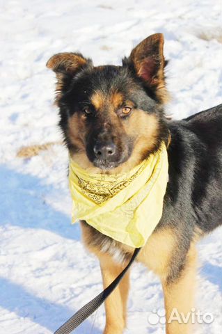 Дэнни ждет тебя