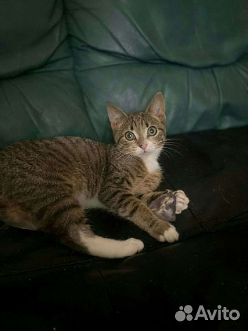 Мальчик шпротик ищет маму