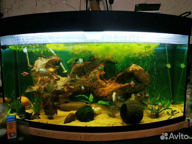 Аквариум