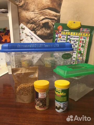 Аквариум для черепах бу