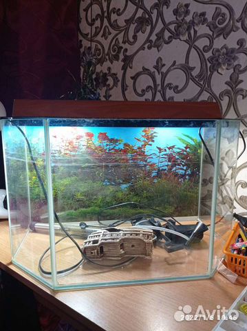 Аквариум