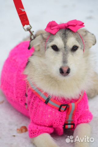 Несравненная Моника, возраст 7 мес