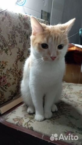 Миниатюрная девочка Эмили