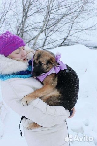 Не хочу умереть в приюте