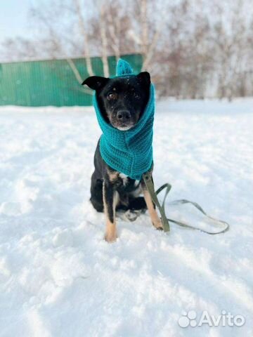 Я хочу жить