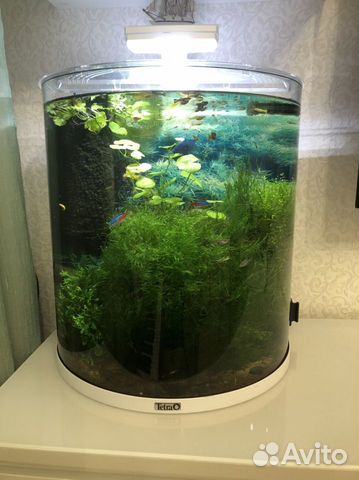 Готовый аквариум tetra 60 литров