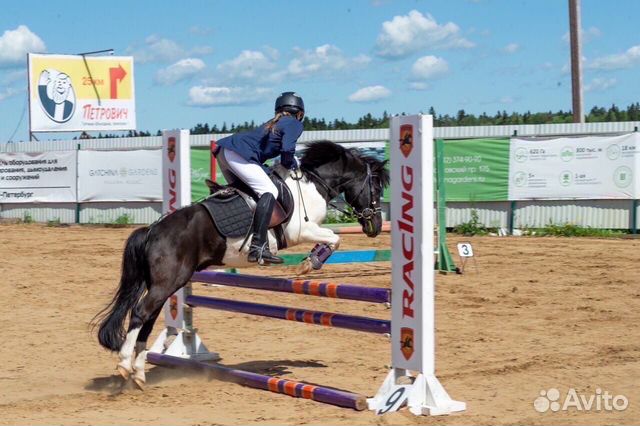 Спортивный пони