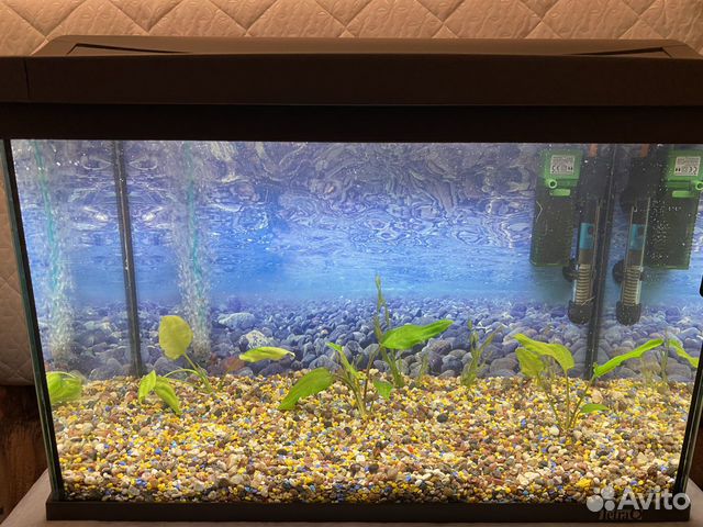 Аквариум Tetra + доставка