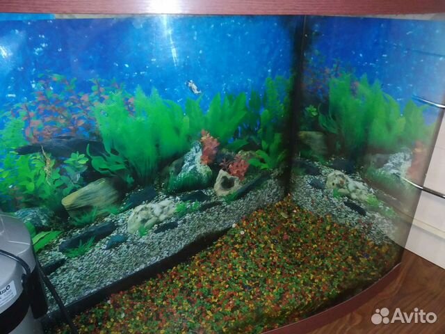 Аквариум угловой панорамный