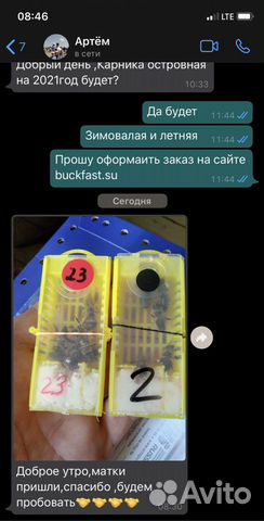 Buckfast F1 Elgon