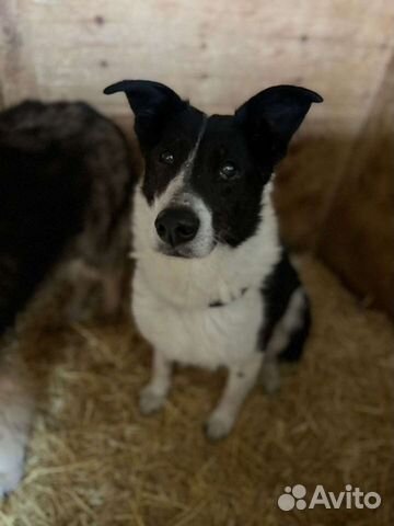 Луша впервый раз вышла на улицу