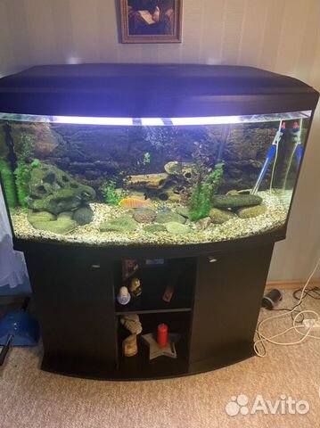 Аквариум Ferplast Cayman 110 prof с тумбой