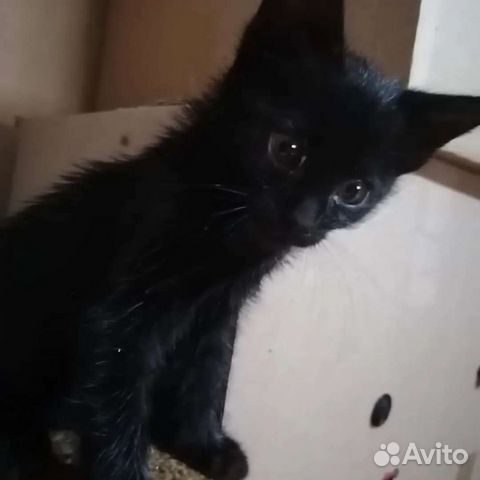 Мальчик в добрые руки