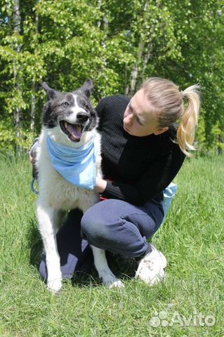 Тимону нужна семья