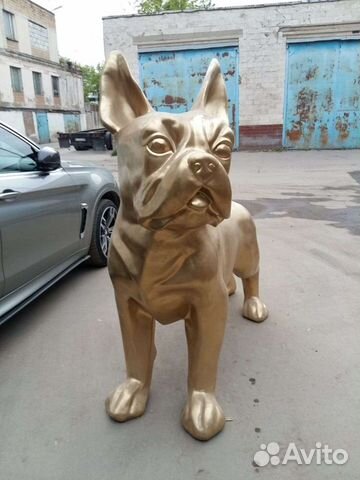 Собака, пёсель огромный