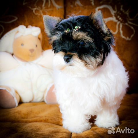 Подарки для самых любимых