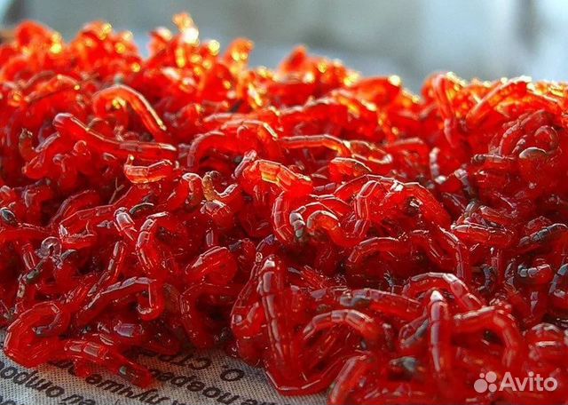 Артемия, мотыль и циклоп свежемороженный