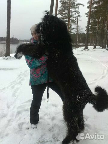 Шикарный парень рчт ищет себе подружку