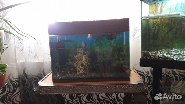 Аквариум
