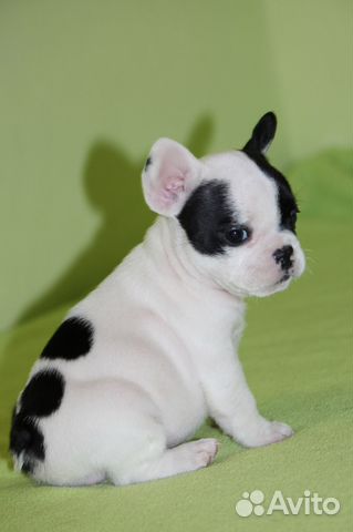 Французское очарование