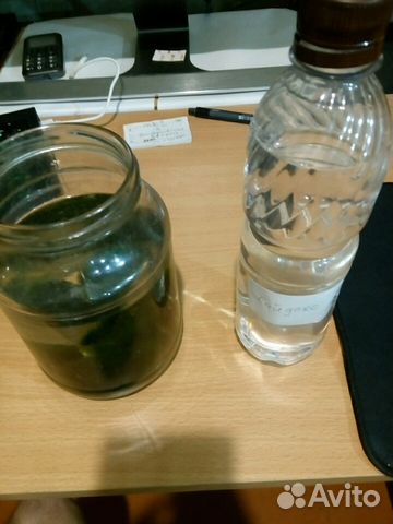 Сайдекс и кладофора