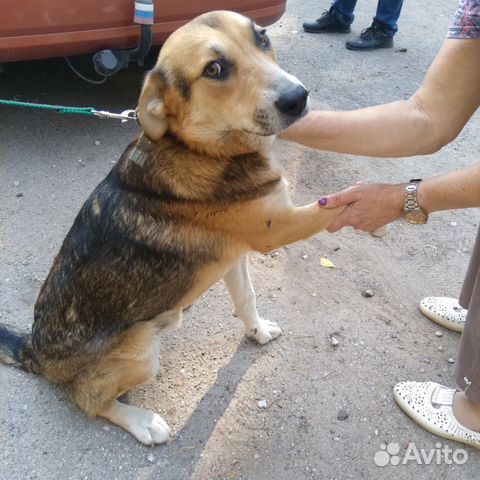 Мальчишка в ответственные руки