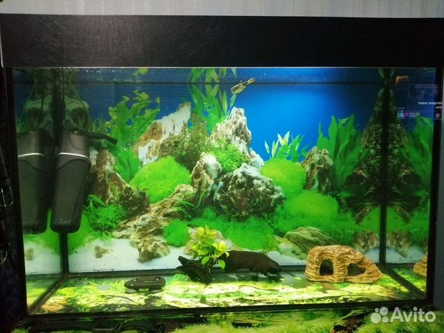 Аквариум 115л полезный объем